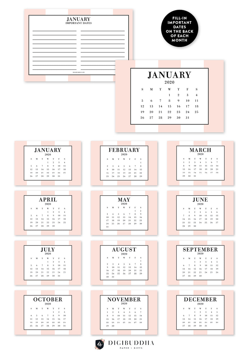 2020 Classic Blush Stripe Desk Calendar by Digibuddha | Coll. 21